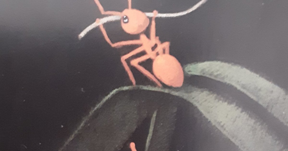 Fourmi rouge - LITTERNATURE