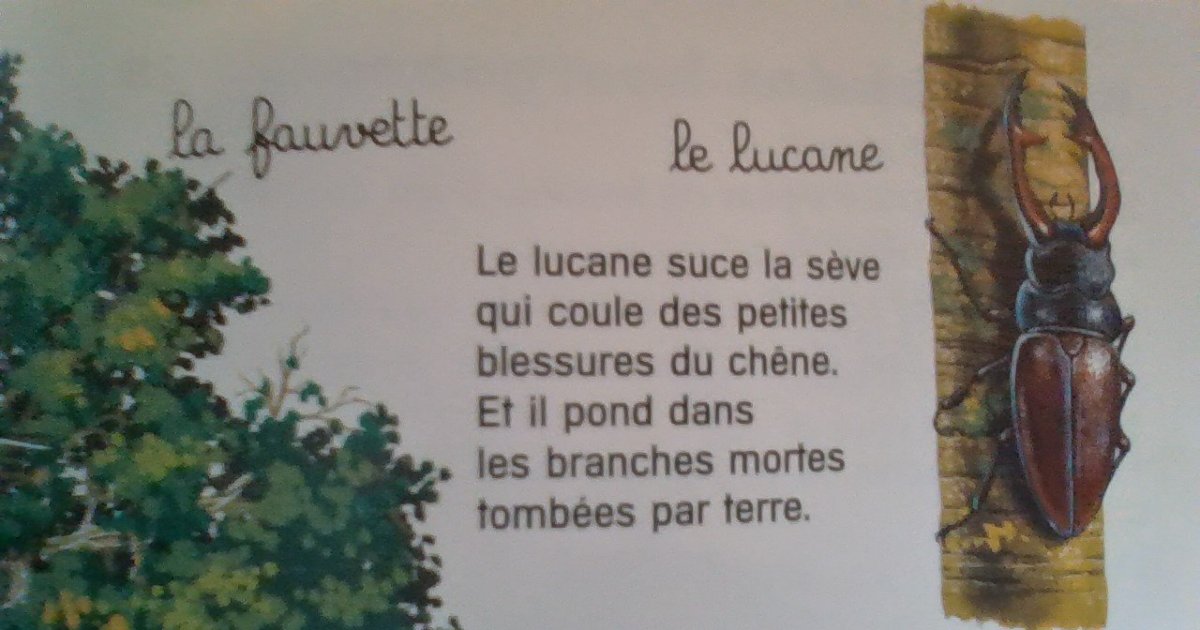 lucane - LITTERNATURE