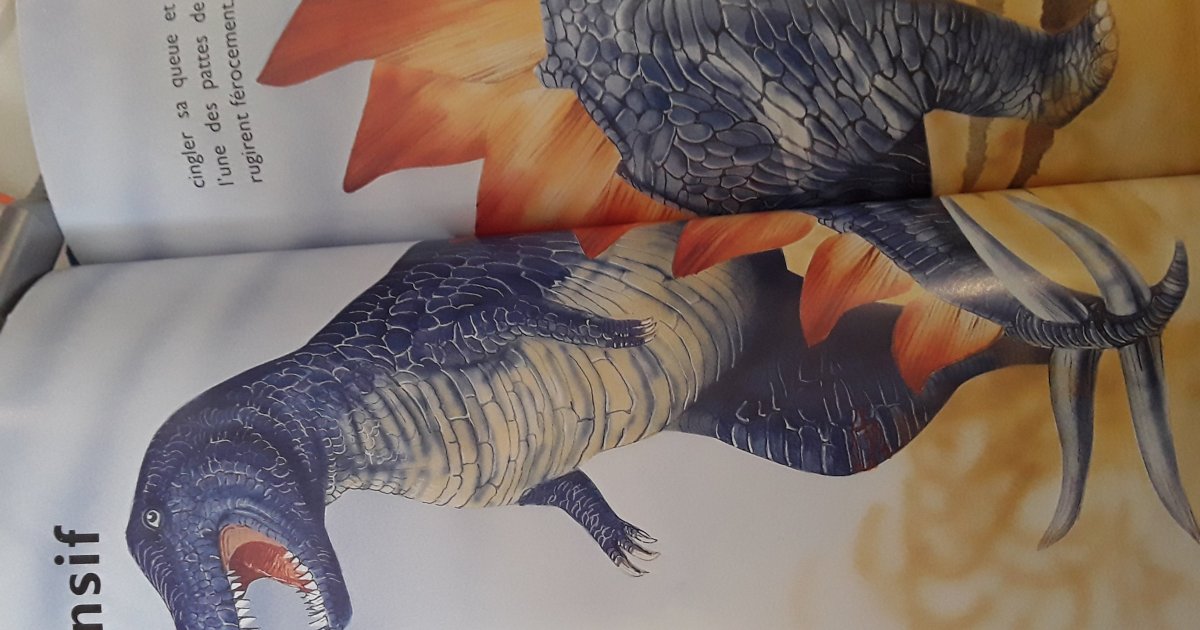 Tirex - LITTERNATURE