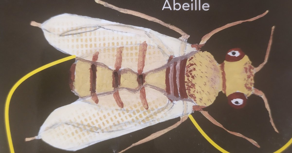 Insecte - LITTERNATURE