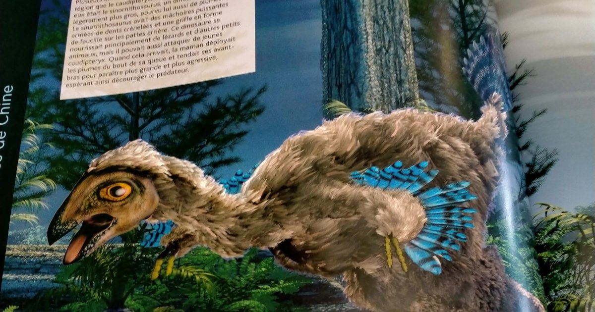 caudipteryx - LITTERNATURE