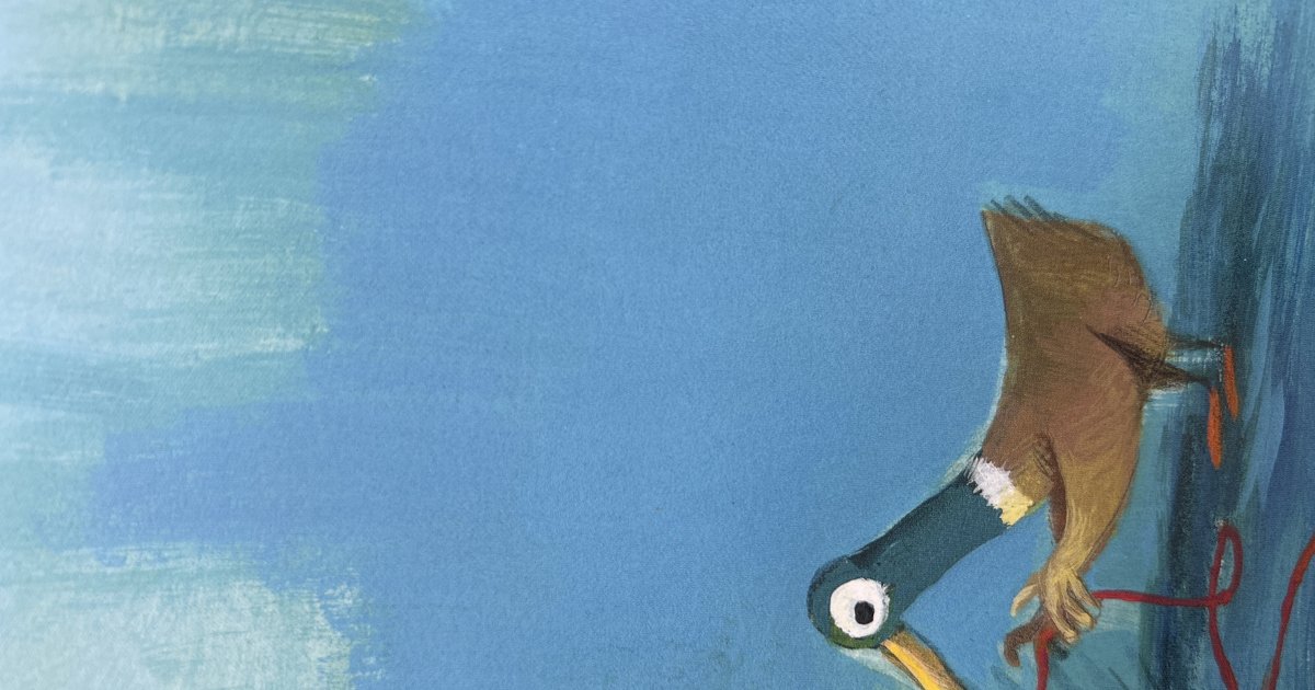 Canard col vert - LITTERNATURE