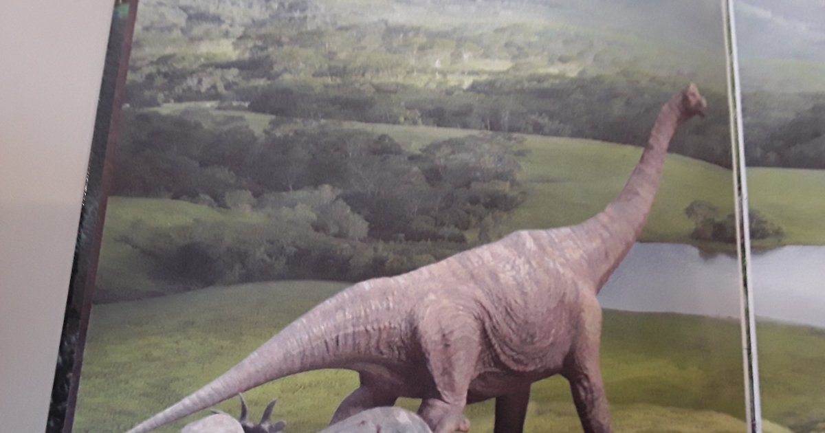 Riojasaurus - LITTERNATURE