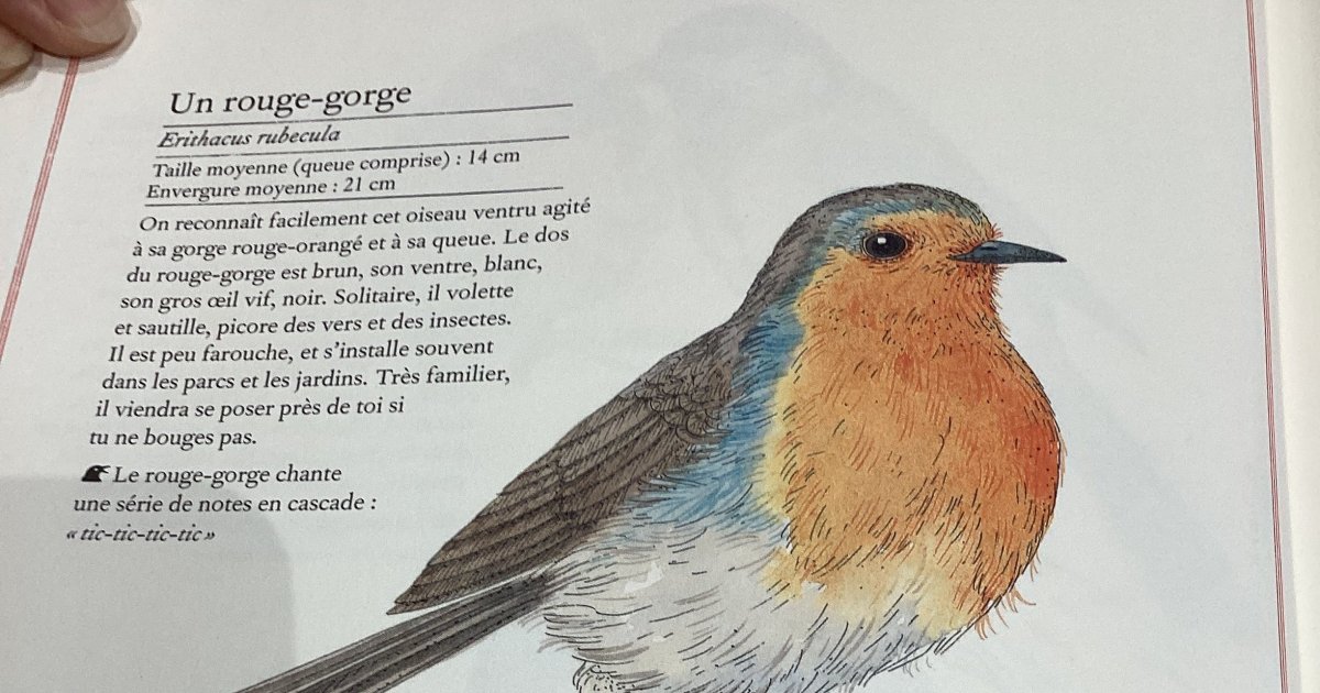 Rouge_gorge - LITTERNATURE