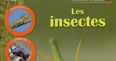 Les insectes - LITTERNATURE